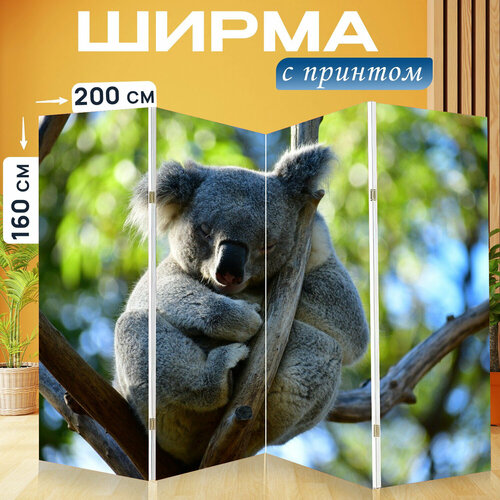 Ширма перегородка с принтом "Милый коала, спящая коала, маленькое животное" на холсте - 200x160 см. для зонирования, раскладная