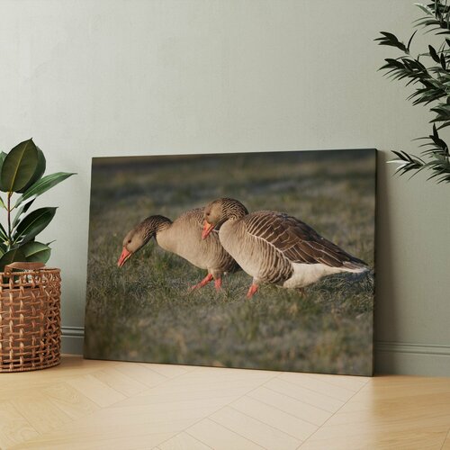 Картина на холсте "Пара птиц, которые стоят в траве" 40x60 см. Интерьерная, на стену.