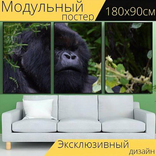 Модульный постер "Погрузчик, руанда, горная горилла" 180 x 90 см. для интерьера