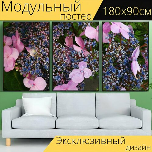 Модульный постер "Гортензия, цветок, сад" 180 x 90 см. для интерьера