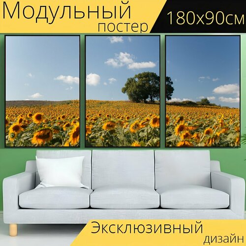Модульный постер "Подсолнечник, поле, цветок" 180 x 90 см. для интерьера