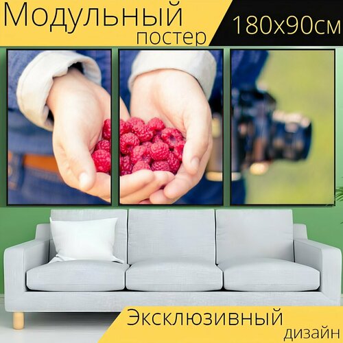 Модульный постер "Здоровый, руки, фрукты" 180 x 90 см. для интерьера