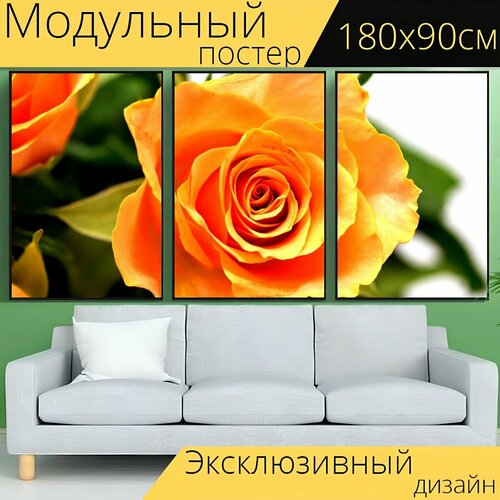 Модульный постер "Розы, цветок, цвести" 180 x 90 см. для интерьера