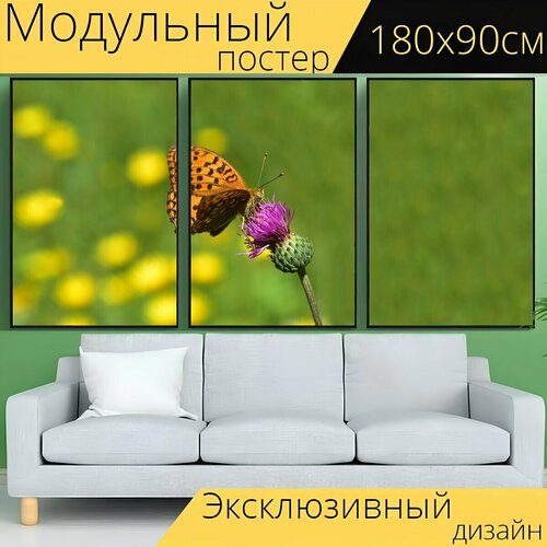 Модульный постер "Бабочка, насекомое, природа" 180 x 90 см. для интерьера