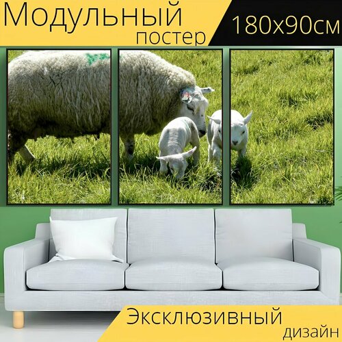 Модульный постер "Ягненок, овец, весна" 180 x 90 см. для интерьера