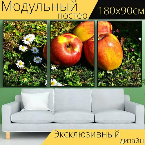 Модульный постер "Яблоки, фрукты, спелый" 180 x 90 см. для интерьера