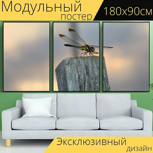 Модульный постер "Стрекоза, крылья стрекозы, насекомое" 180 x 90 см. для интерьера