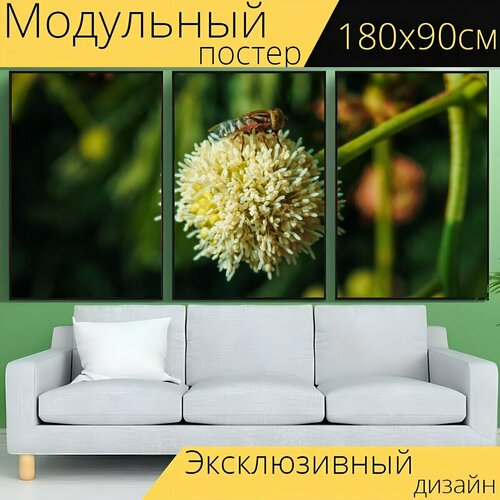 Модульный постер "Цветок, пейзаж, дикая природа" 180 x 90 см. для интерьера