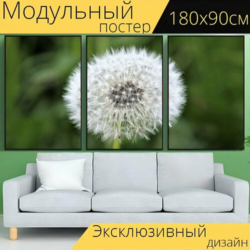 Модульный постер "Одуванчик, весна, семена" 180 x 90 см. для интерьера