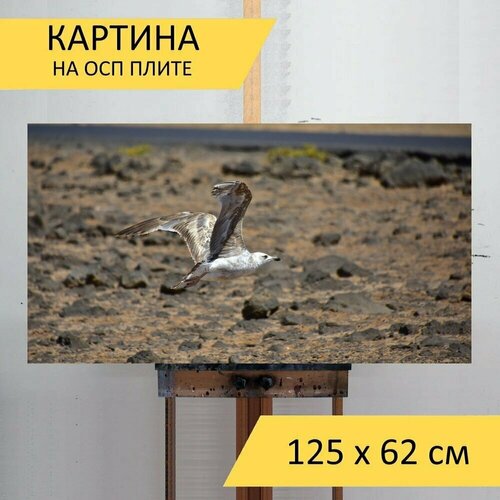 Картина на ОСП 125х62 см. "Птицы, чайка, фуэртевентура" горизонтальная, для интерьера, с креплениями