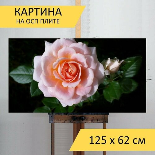 Картина на ОСП 125х62 см. "Цветок, розовый, роза" горизонтальная, для интерьера, с креплениями