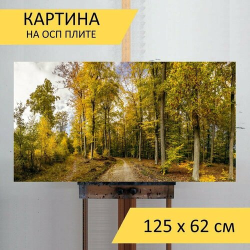 Картина на ОСП 125х62 см. "Лес, осень, лесная дорога" горизонтальная, для интерьера, с креплениями