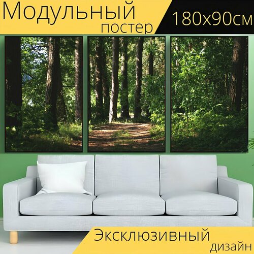 Модульный постер "Лес, путь, деревья зелень красота" 180 x 90 см. для интерьера