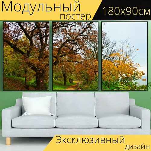 Модульный постер "Осень, листья, лес" 180 x 90 см. для интерьера