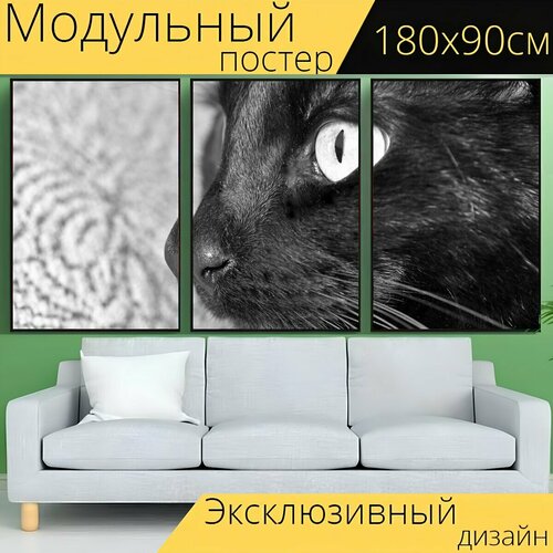 Модульный постер "Кот, глаз, животное" 180 x 90 см. для интерьера