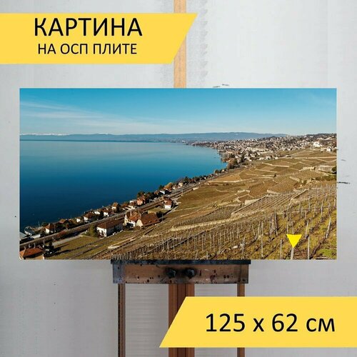 Картина на ОСП 125х62 см. "Женевская, озеро, во" горизонтальная, для интерьера, с креплениями