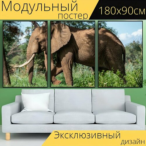 Модульный постер "Слон, африке, сафари" 180 x 90 см. для интерьера
