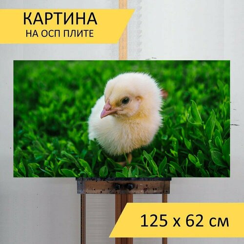 Картина на ОСП 125х62 см. "Цыпленок, маленький, птица" горизонтальная, для интерьера, с креплениями