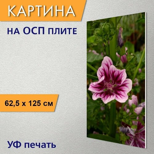 Вертикальная картина на ОСП "Цветок, природа, завод" 62x125 см. для интерьериа