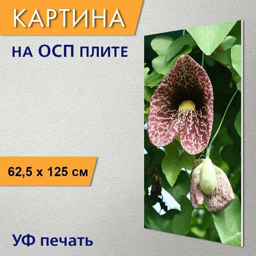 Вертикальная картина на ОСП "Орхидея, цветок, флора" 62x125 см. для интерьериа