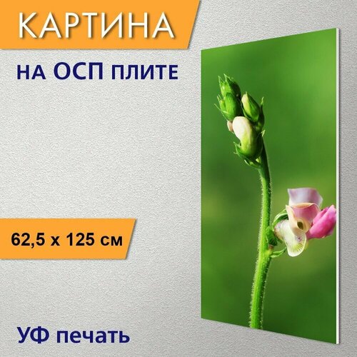 Вертикальная картина на ОСП "Природа, завод, цветок" 62x125 см. для интерьериа