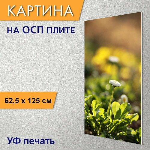 Вертикальная картина на ОСП "Одуванчик, цветок, завод" 62x125 см. для интерьериа