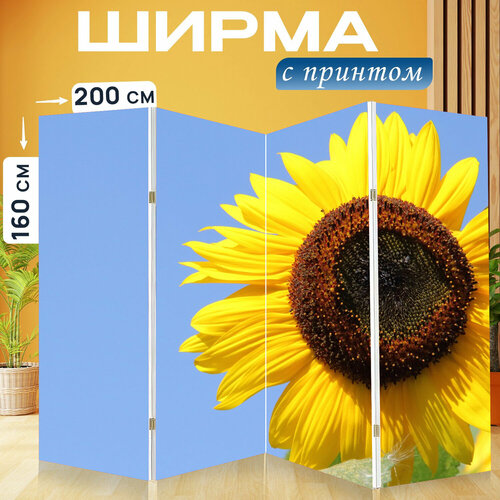 Ширма перегородка с принтом "Подсолнечник, цветок, блум" на холсте - 200x160 см. для зонирования, раскладная