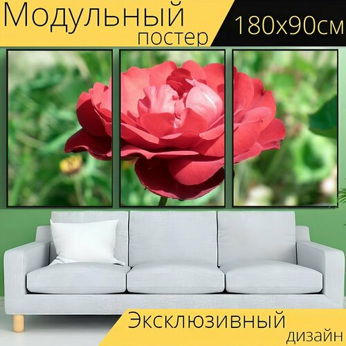 Модульный постер "Роуз, цветок, красный" 180 x 90 см. для интерьера