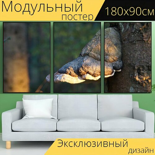 Модульный постер "Древесный гриб, лес, гриб" 180 x 90 см. для интерьера