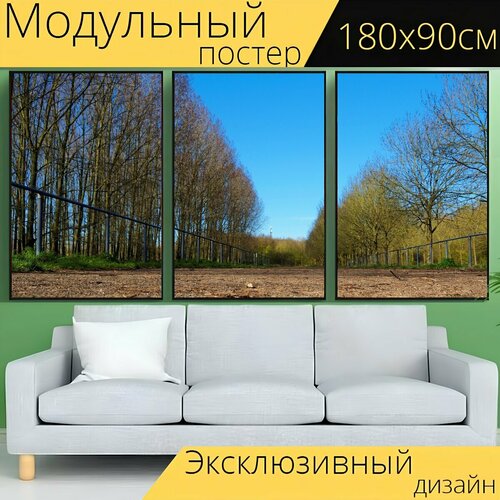 Модульный постер "Пейзаж, проселочная дорога, деревья" 180 x 90 см. для интерьера