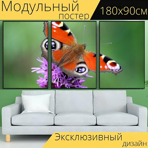 Модульный постер "Павлинья бабочка, бабочка, цвести" 180 x 90 см. для интерьера