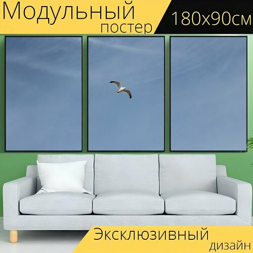 Модульный постер "Тексель, чайка, коксдорп" 180 x 90 см. для интерьера