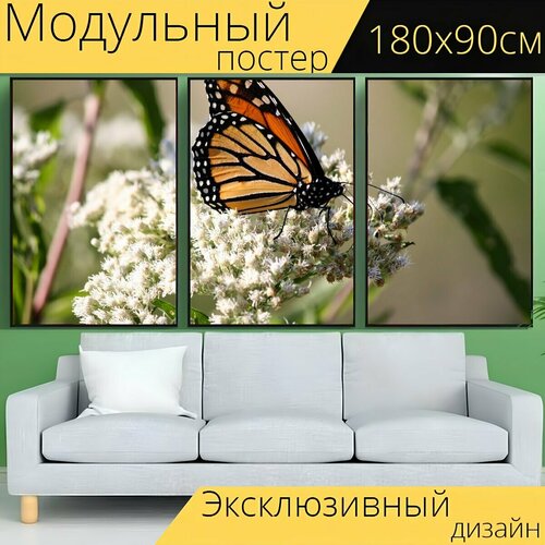 Модульный постер "Бабочка, цветок, весна" 180 x 90 см. для интерьера