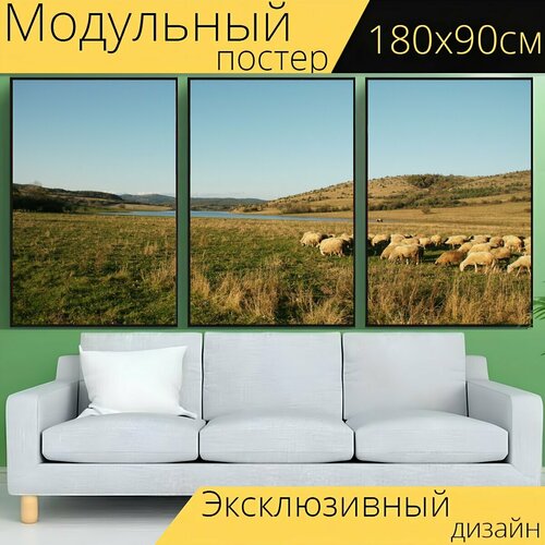 Модульный постер "Пастбище, овец, пейзаж" 180 x 90 см. для интерьера