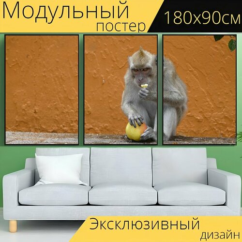 Модульный постер "Обезьяна, обезьяны, маврикий" 180 x 90 см. для интерьера