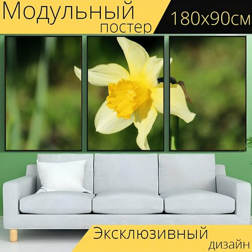 Модульный постер "Весна, цветок, жёлтый" 180 x 90 см. для интерьера