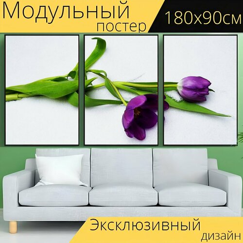 Модульный постер "Природа, цветы, тюльпаны" 180 x 90 см. для интерьера