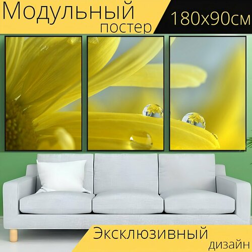 Модульный постер "Желтые цветы, маргаритка, капельки воды" 180 x 90 см. для интерьера