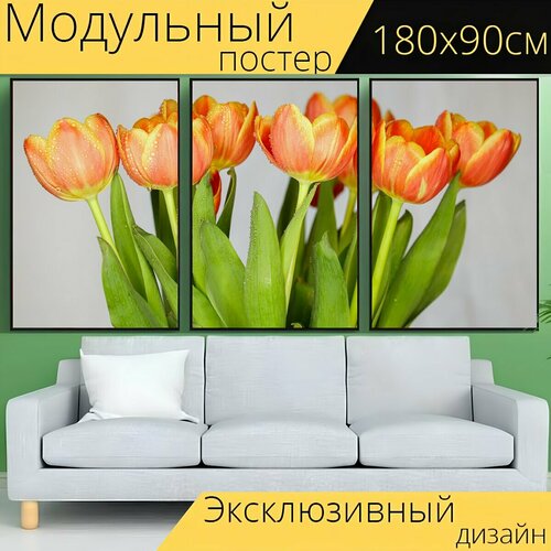 Модульный постер "Тюльпаны, цветы, роса" 180 x 90 см. для интерьера