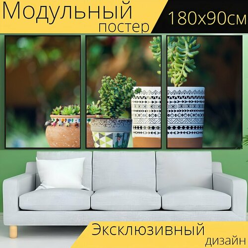 Модульный постер "Жирные растения, вазы, терракота" 180 x 90 см. для интерьера