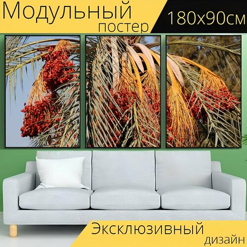 Модульный постер "Финики, пальма, финиковая пальма" 180 x 90 см. для интерьера