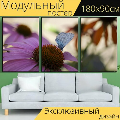 Модульный постер "Цветы, эхина, бабочка" 180 x 90 см. для интерьера