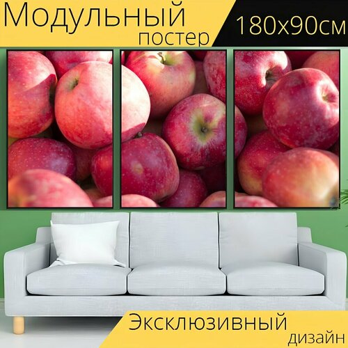Модульный постер "Яблоки, красный, фрукты" 180 x 90 см. для интерьера