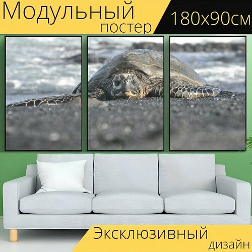 Модульный постер "Морская черепаха, гавайи, чернить" 180 x 90 см. для интерьера