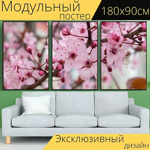 Модульный постер "Вишня в цвету, розовый, весна" 180 x 90 см. для интерьера