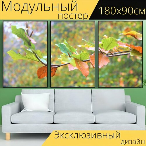 Модульный постер "Осенние краски, падение, осеннее настроение" 180 x 90 см. для интерьера