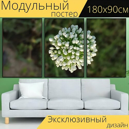 Модульный постер "Цветок, лепестки, флора" 180 x 90 см. для интерьера