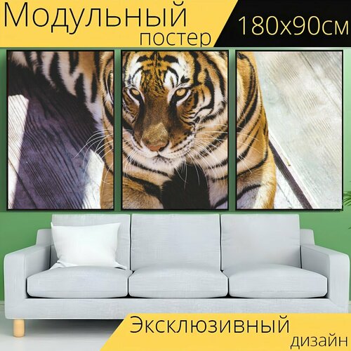 Модульный постер "Животное, природа, тигр" 180 x 90 см. для интерьера