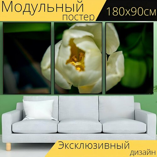Модульный постер "Цветок, цвести, тюльпан" 180 x 90 см. для интерьера