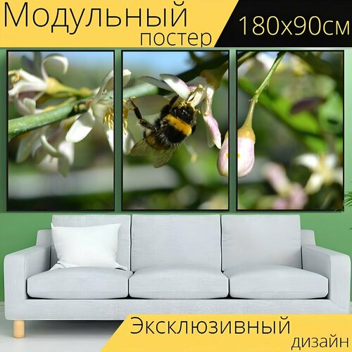 Модульный постер "Пчела, насекомое, животное" 180 x 90 см. для интерьера